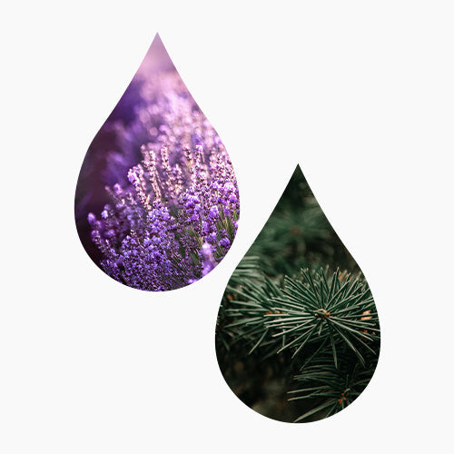 Blends Αιθερίων Ελαίων Vessel – Vessel Essential Oils
